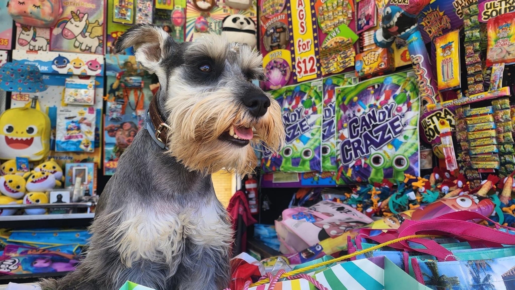 Alstonville Agricultural Society Inc